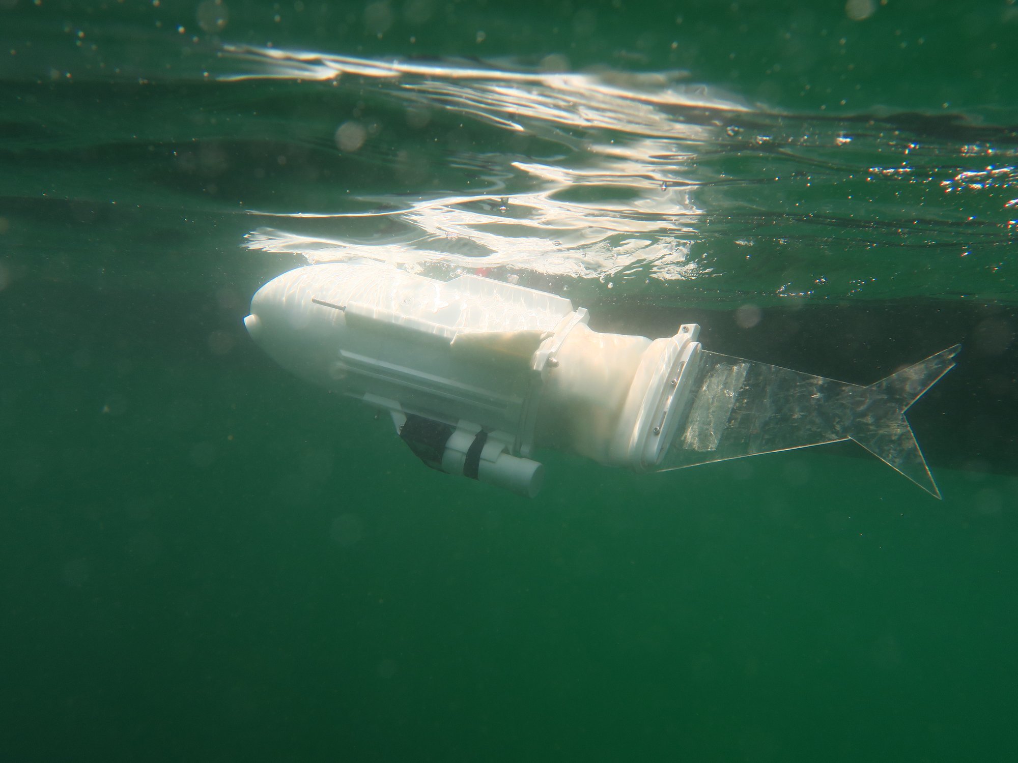 智能減廢 逆轉海洋未來 - 生命之延 - 2025年9月號